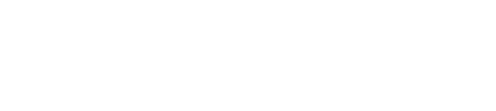 Facepunch